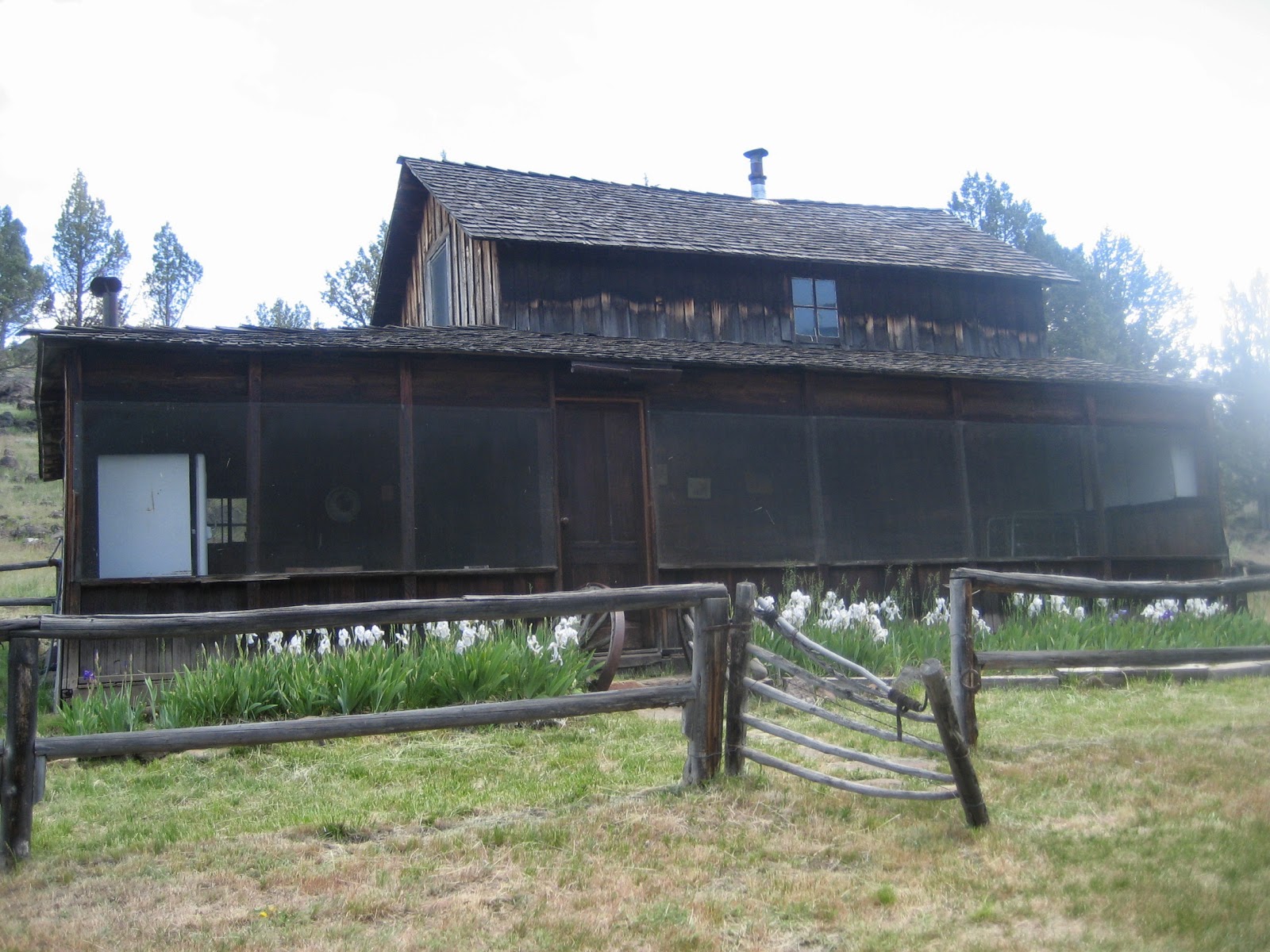 The Pursuit of Singletrack: South Eastern Oregon Exploration: Alvord ...