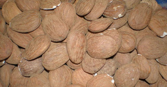 Frutos Secos Gonzalo: LAS ALMENDRAS. BENEFICIOS Y PROPIEDADES