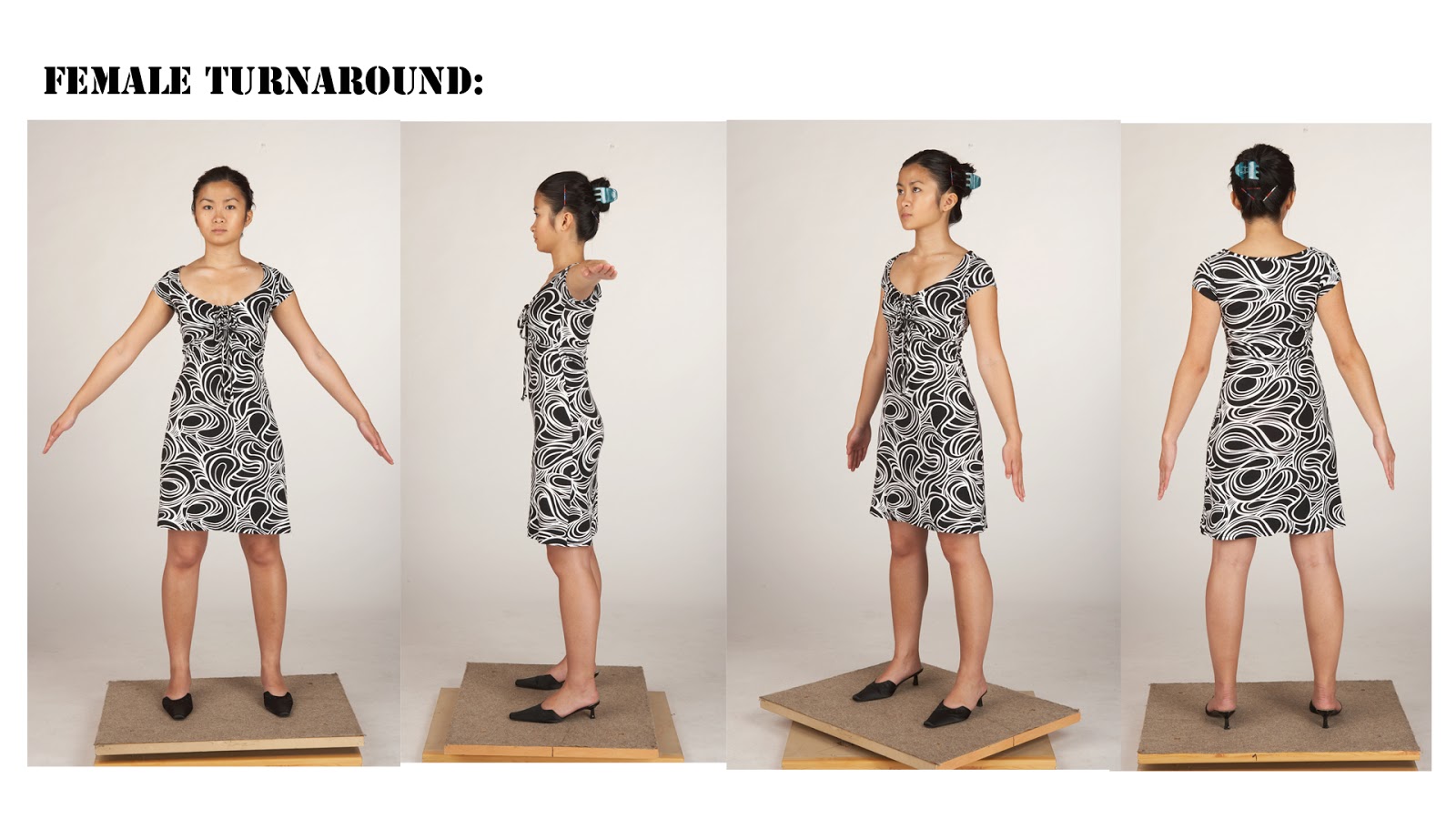 MENG WANG: January 2013