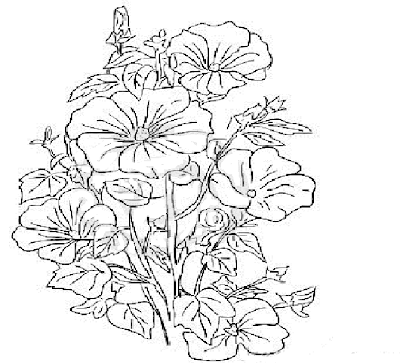 IMAGINI cu buchete si coronite de FLORI de colorat :: Fise de lucru ...