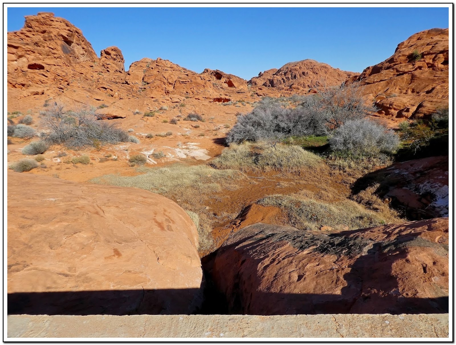 Ken's Photo Gallery: Logandale Trails Recreation Area - Summary Page