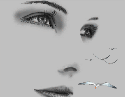 Só Mensagéns: Ando com olhar distante.....sempre a procura do que esta ...