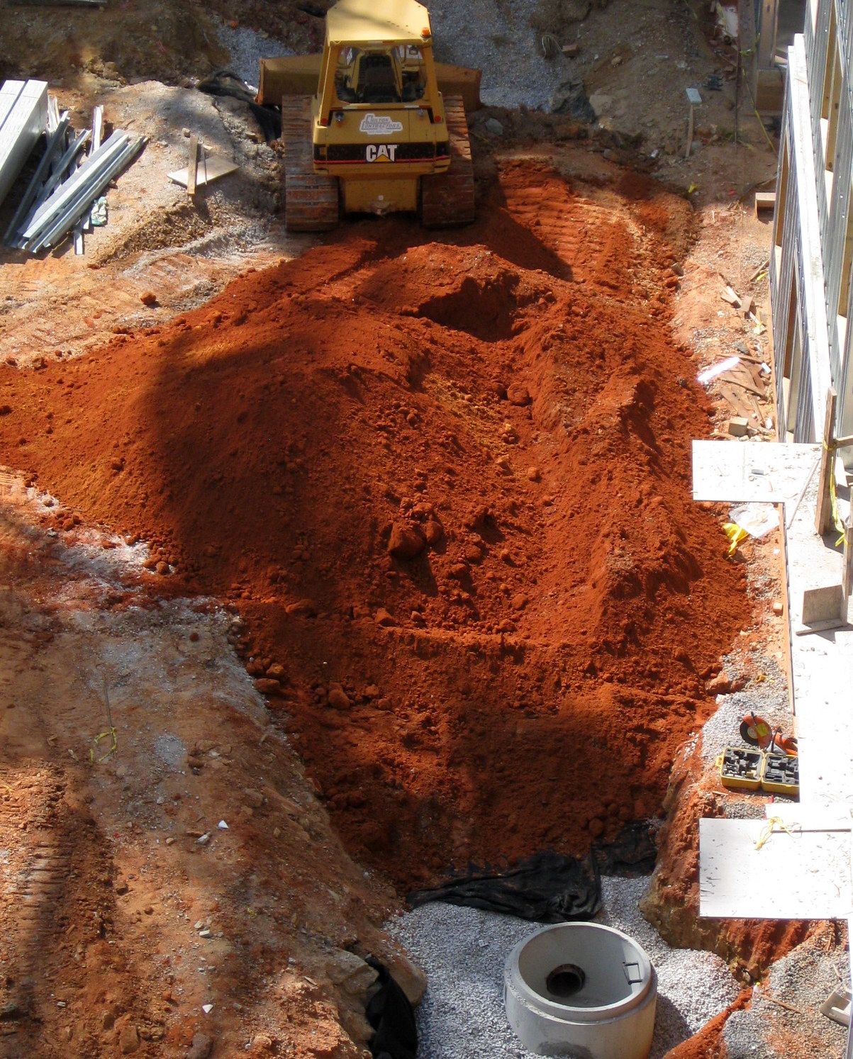 Edifice Rex: Seeing Red