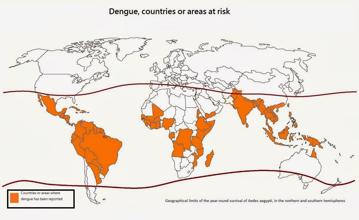 Areas With Risk Of Dengue