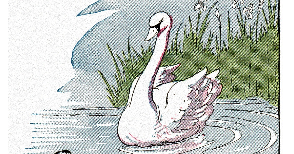 The Raven And The Swan