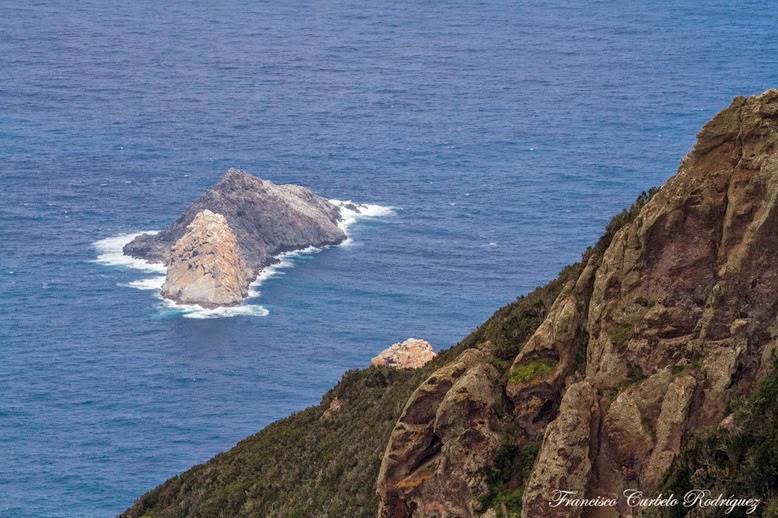 EL RINCÓN FOTOGRÁFICO DE FRANCISCO CURBELO: RUTA CIRCULAR: "EL BOSQUE ...
