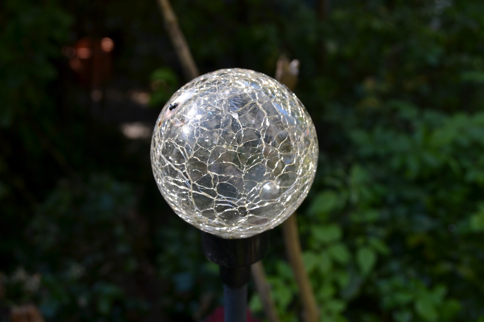 Jack's Ordinary and Extraordinary blog: Extraordinary Objects