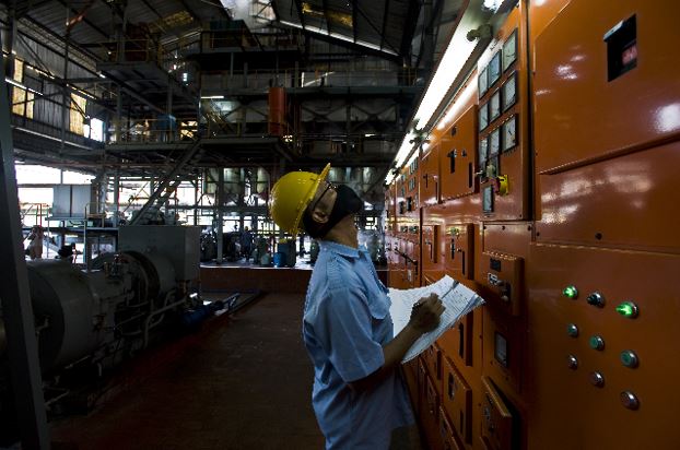 Mengenal Proses Produksi CPO di Anak Perusahaan Royal Golden Eagle ...