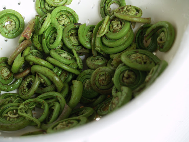 Persimmon and Peach: Sauteed Fiddlehead Ferns with Garlic & Lemon