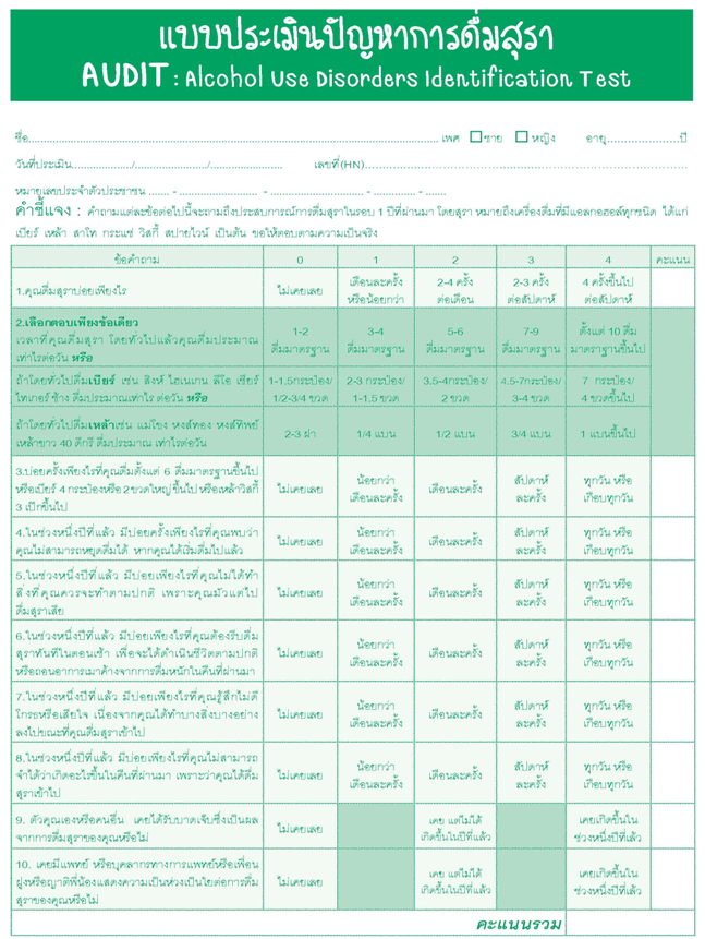 ทีมทะเลหมอก */*: Audit score