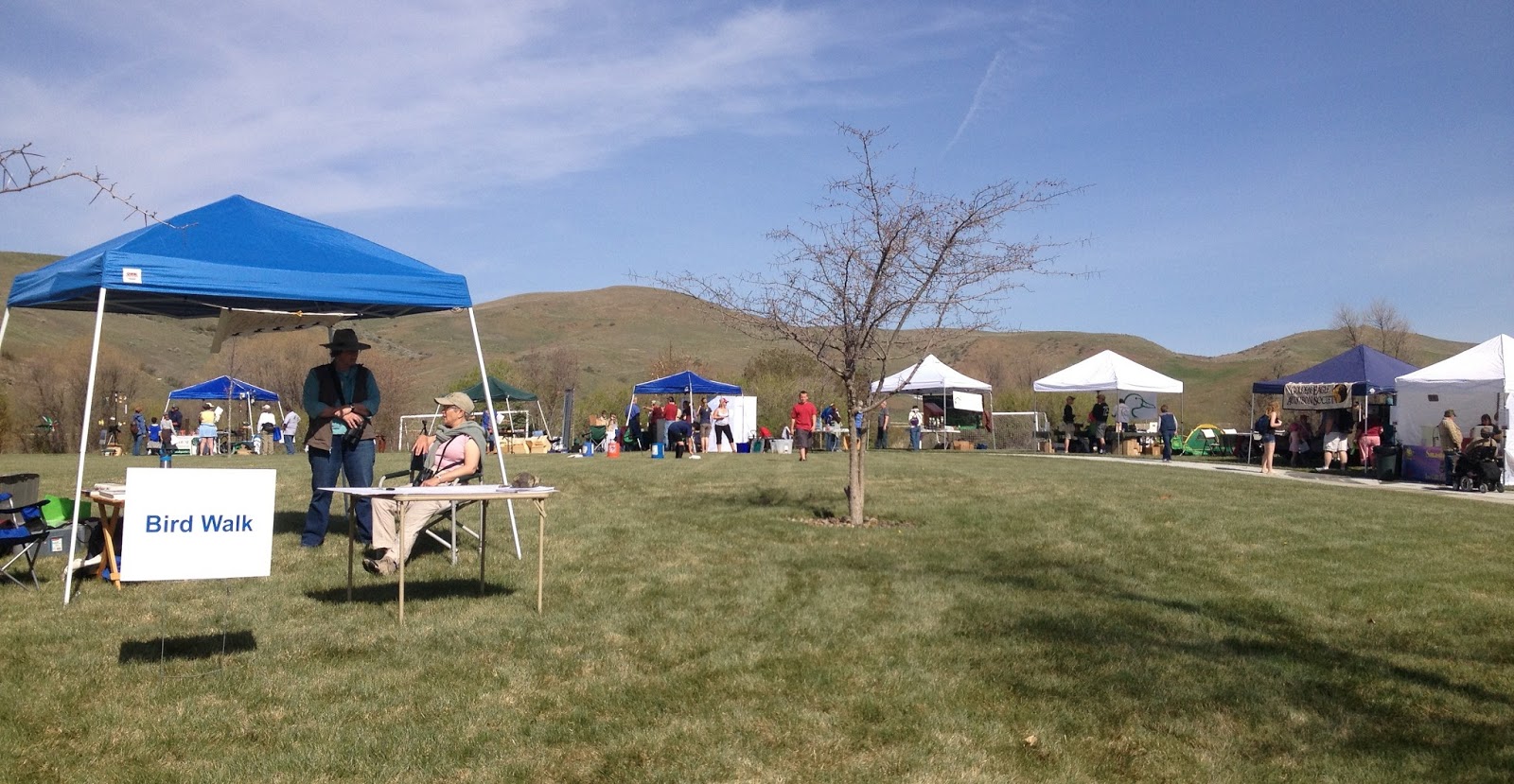 Birding Is Fun!: Boise Bird Festival - Idaho's Pledge to Fledge Event