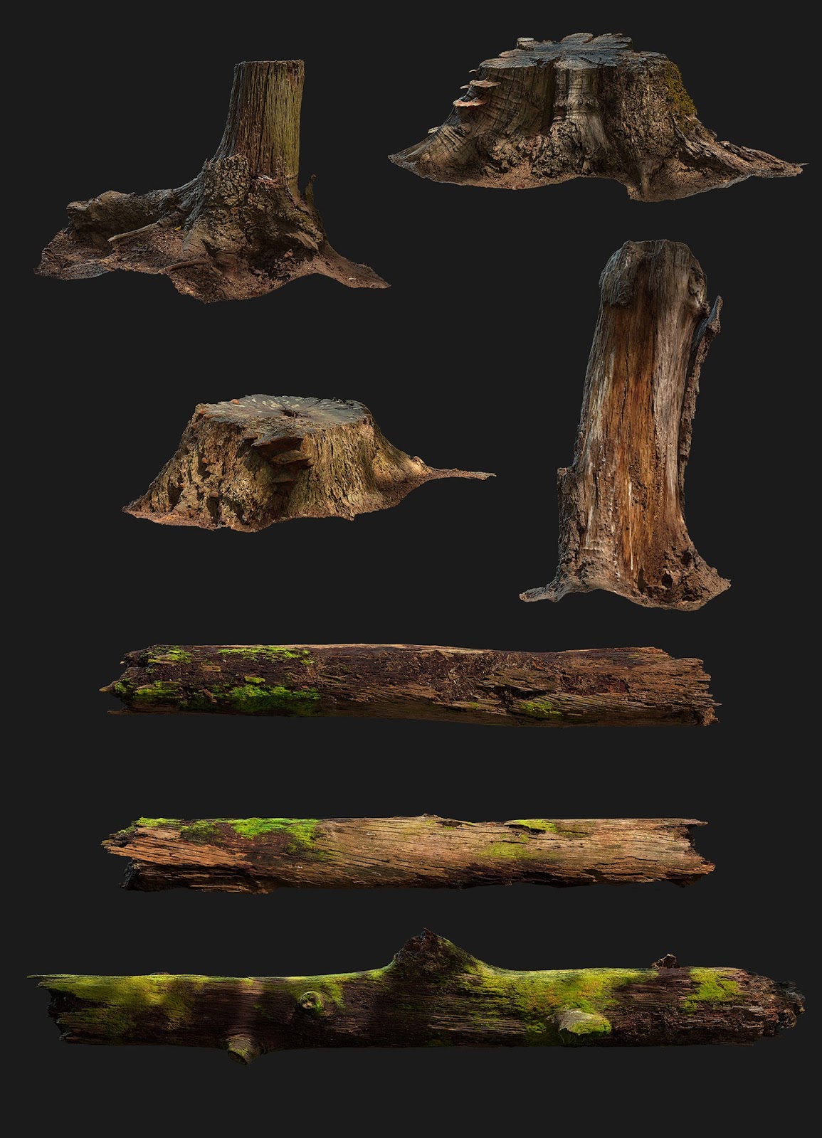 Quixel Megascans STUMP PACK | Computer Graphics Daily News