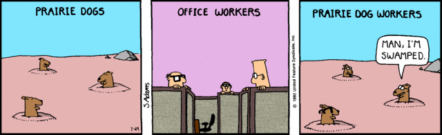 Feldsparia: Prairie Dog Behavior On Mad Men