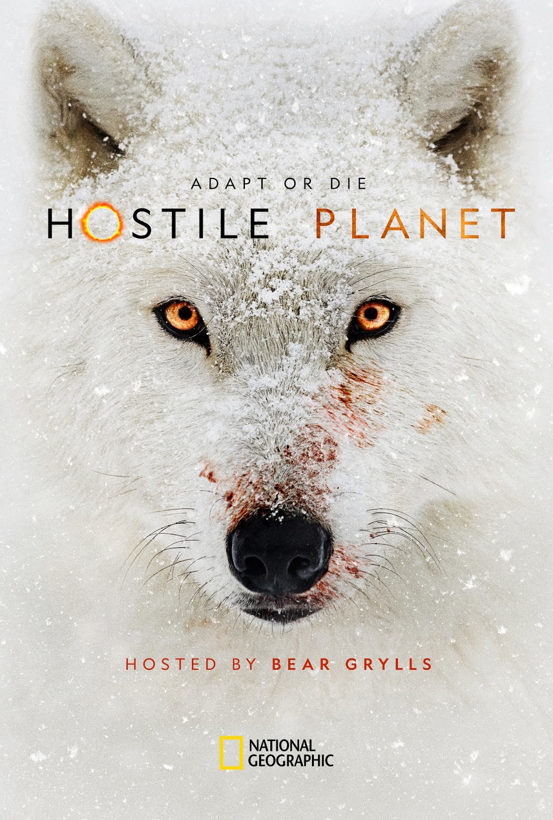 TV with Thinus: New 6-episode nature series, Hostile Planet, starting ...