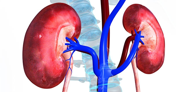 treatment for kidney disease: Chronic Kidney Disease (CKD) in Stage 2