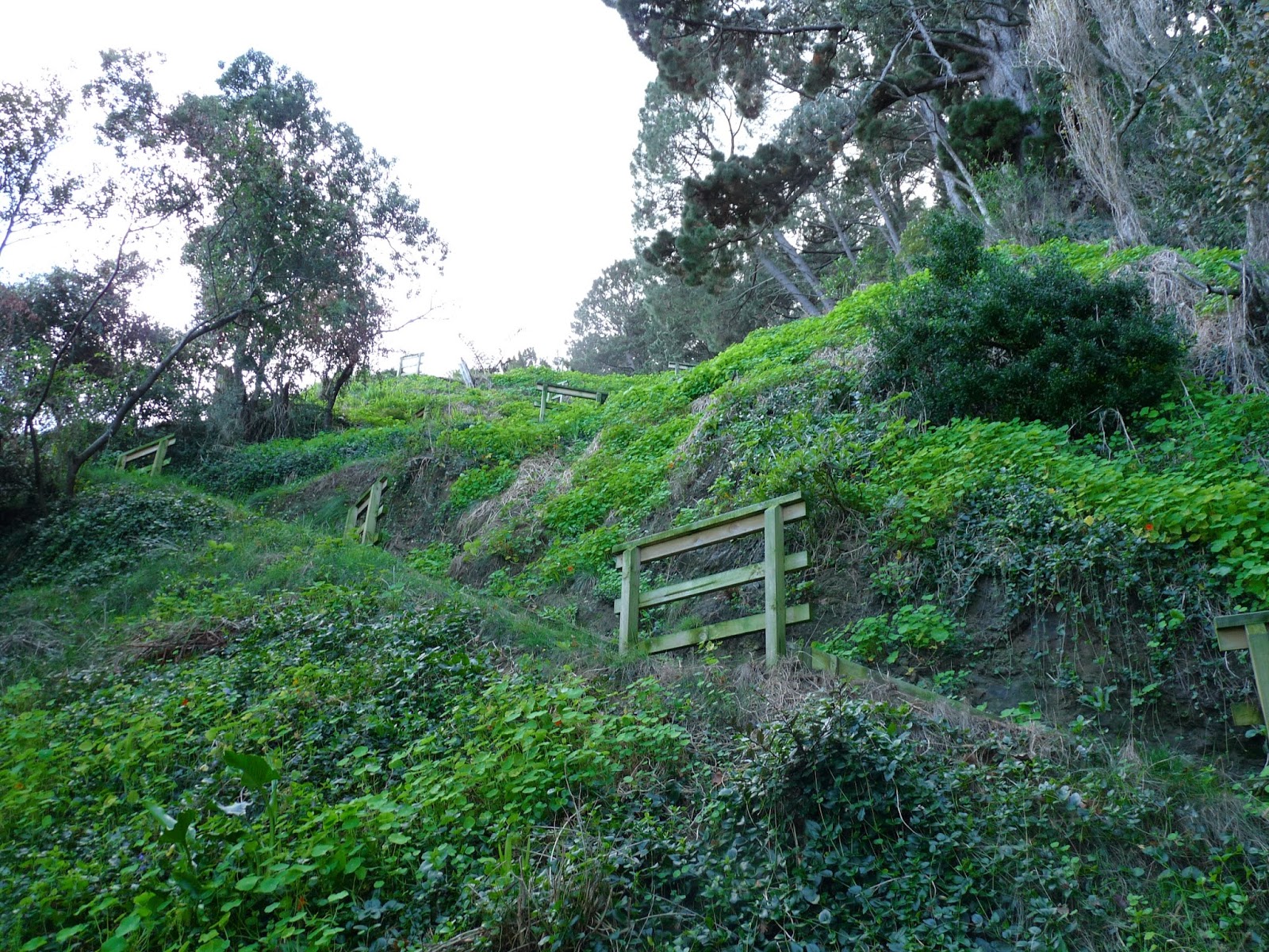 Thames NZ: Genealogy & History Resources: Cemetery Information: Thames (NZ)