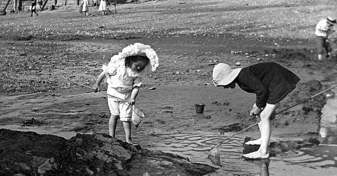 THE ECLECTIC EDWARDIAN: THE EDWARDIAN SEASIDE ~ SHREWSBURY MUSEUM