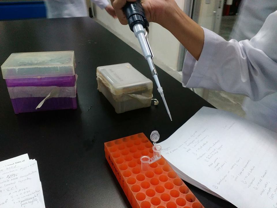 IBG102 blog: LAB 6: BACTERIAL DNA EXTRACTION
