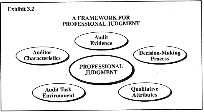Professional Judgment Matters: Guidance for Applying a Professional ...