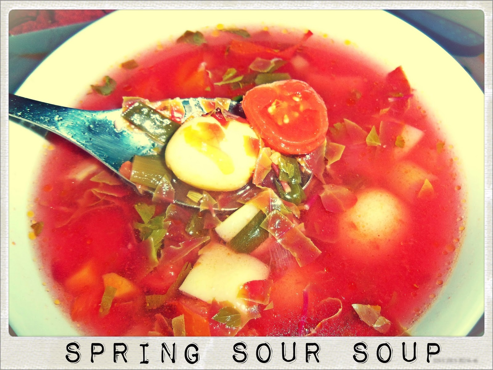 You've Got Meal!: Spring Vegetable Soup ( Sour, Vegetarian Recipe)
