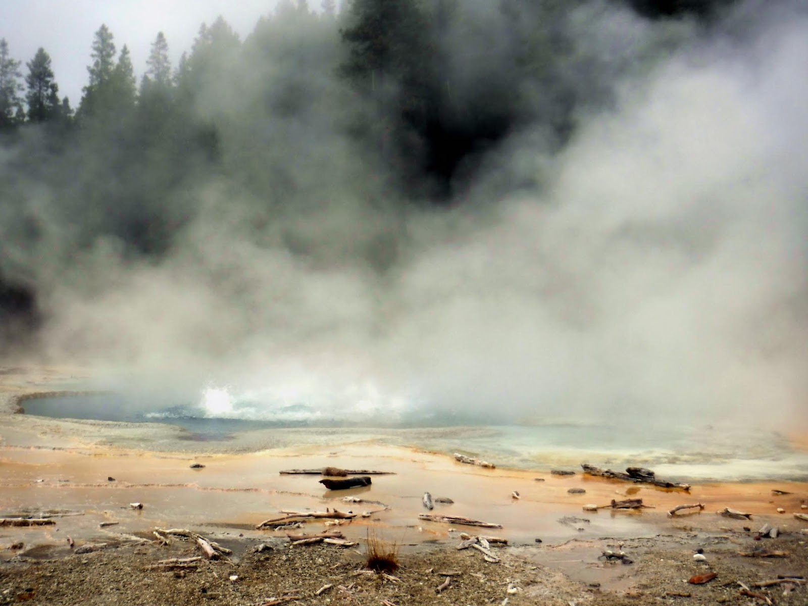 Focusing On Travel : Yellowstone: A Geyser Gazers Guide to the Upper ...