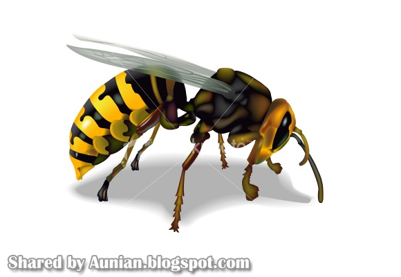 5 Hewan Penyengat Paling Mematikan