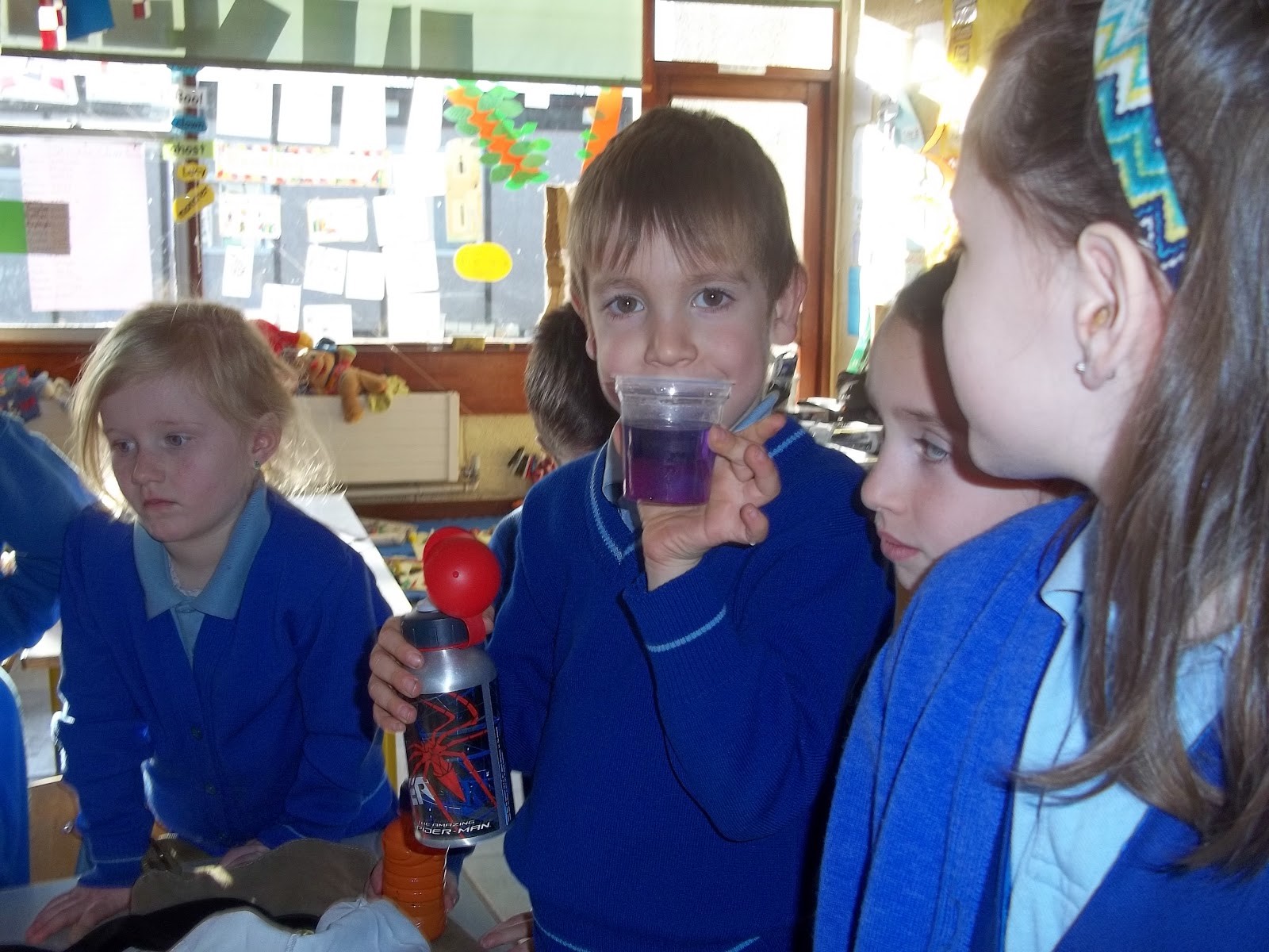 Science Projects: Acid or alkali experiment