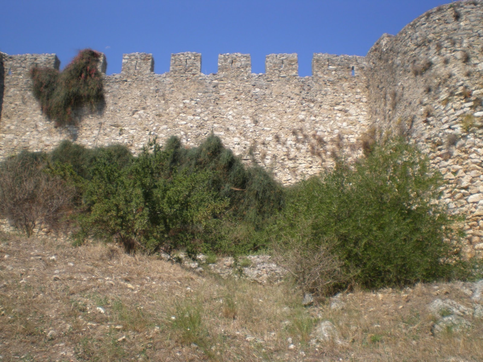 Hellenic Flag Hellenic Foundation ΙΔΡΥΜΑ ΕΛΛΗΝΙΣΜΟΥ: Η ΕΠΙΣΤΗΜΟΝΙΚΗ ...