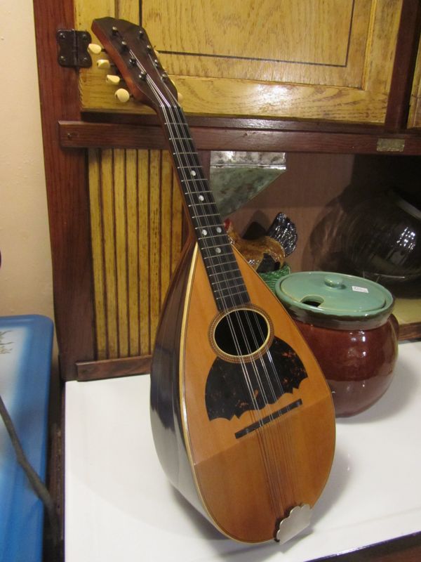 c.1895 Vega Bowlback Mandolin