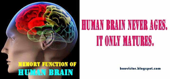bonvictor.blogspot.com: The memory function of human brain