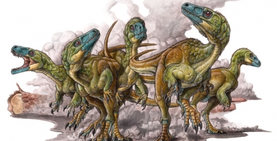 Los animales en la prehistoria: Animales prehistóricos con la letra B