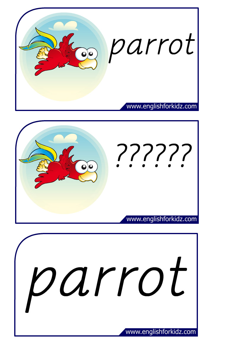 Wild Animals Flashcards