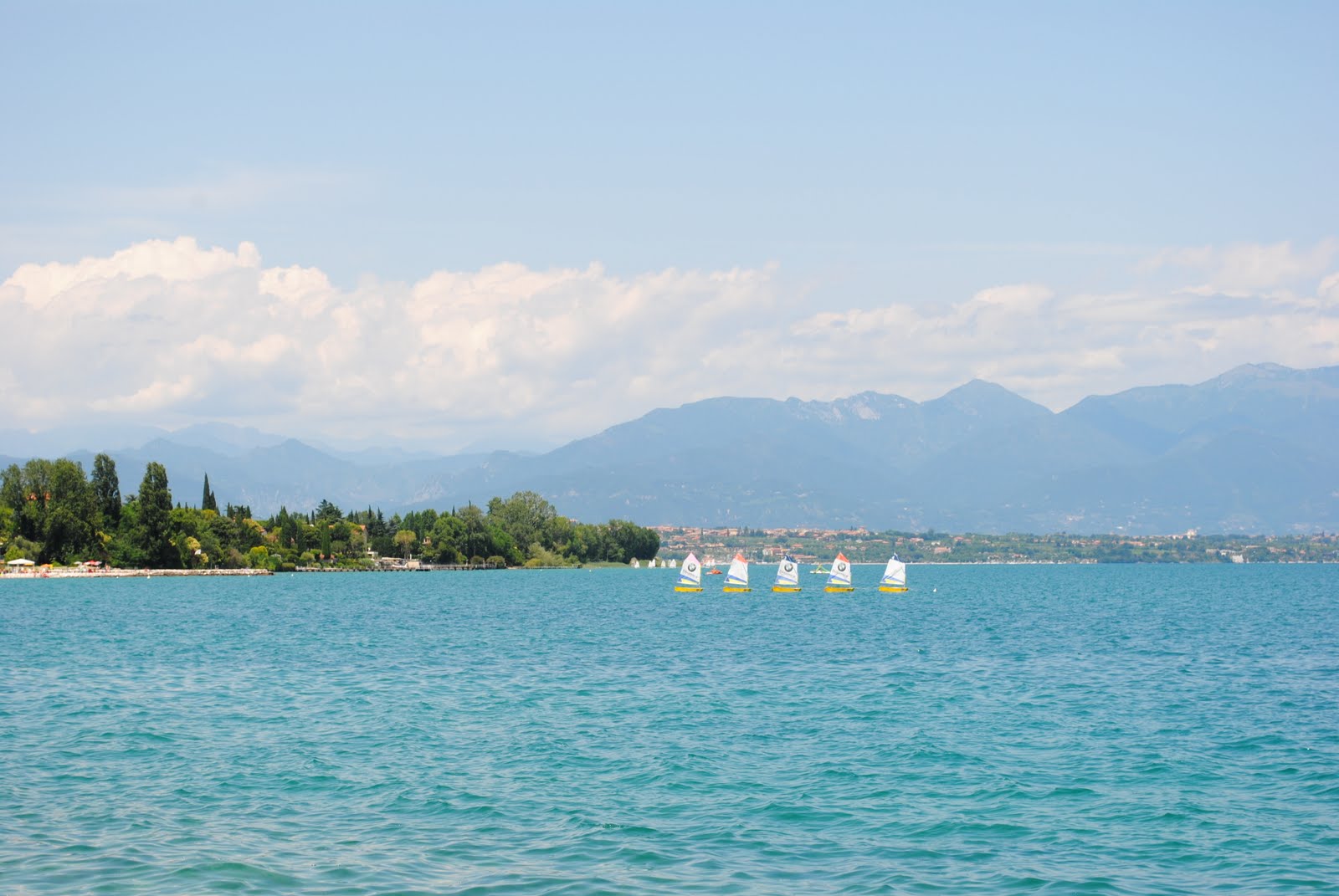 .oggi.: The adventures of Molly Totten