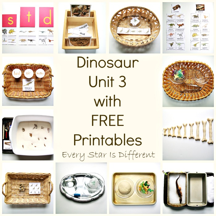 Dinosaur Unit 3 with FREE Printables - Every Star Is Different