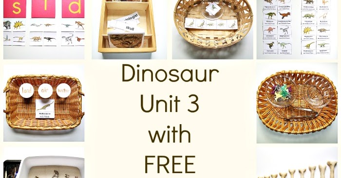 Dinosaur Unit 3 with FREE Printables - Every Star Is Different