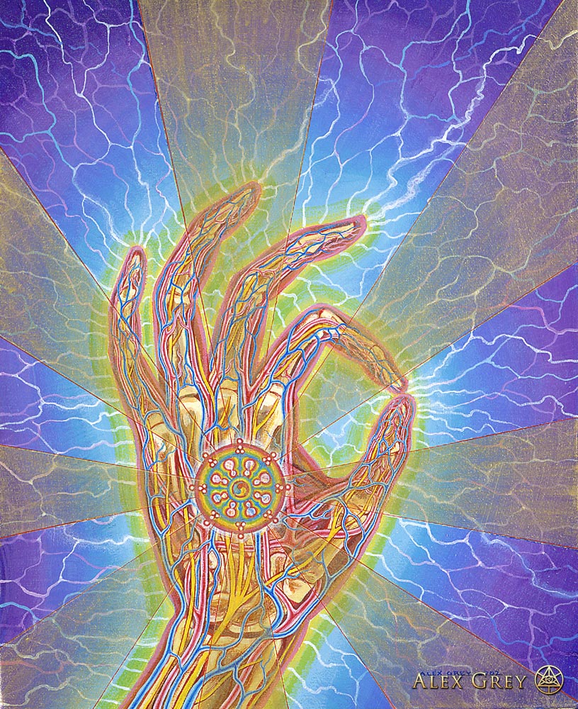 Cromofora La ( Paloma) Contemporary Online Art Gallery: ALEX GREY ...