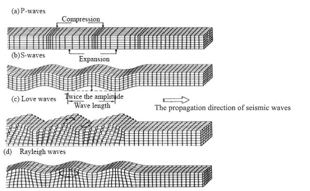 How many types of Seismic waves - Geography for You - Geography for You