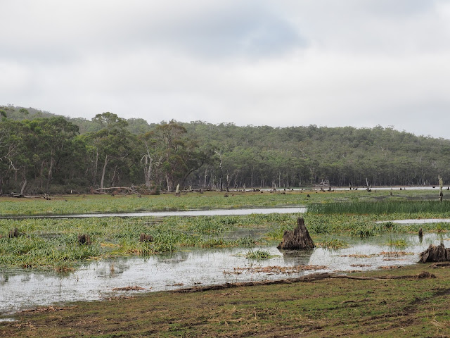 Tooms Lake | Hiking South East Tasmania