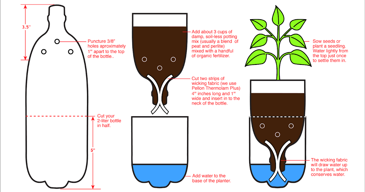 Maximizing Progress: Sodabottle SIP ~ Sub-Irrigated Planter Gardening!