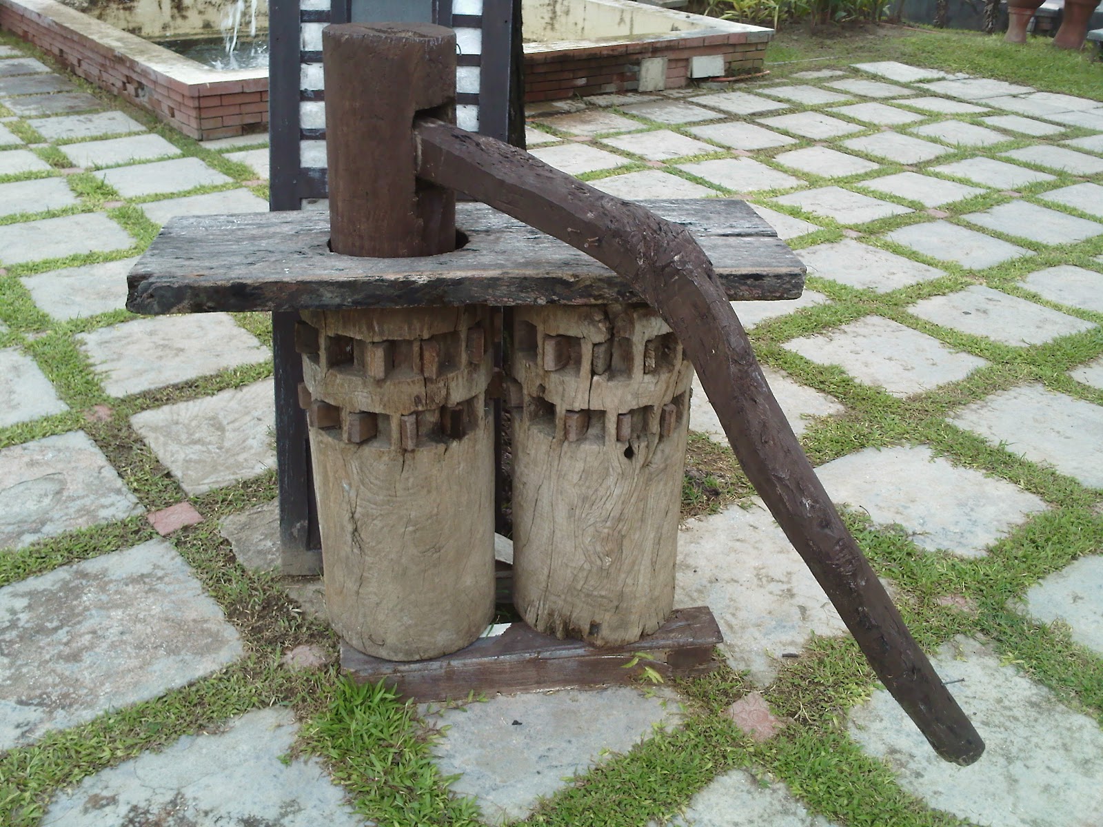 Discover the world with Kanuto: BASI REVOLT (Movement for the Love of ...