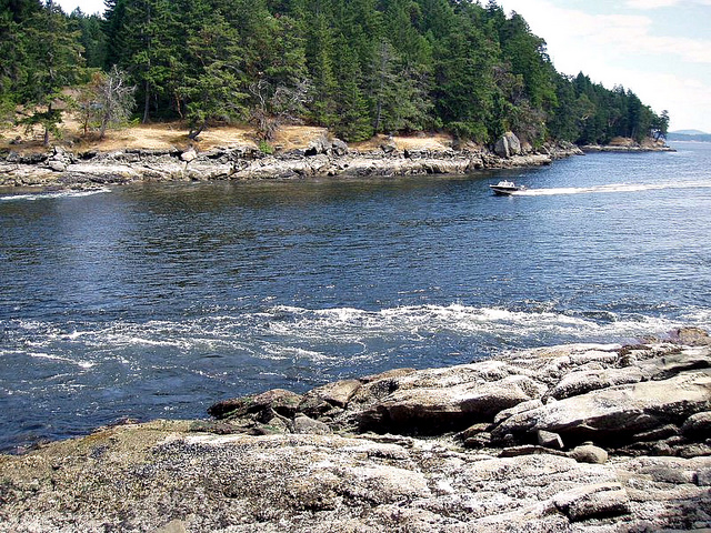 Everything Nanaimo: DODD NARROWS