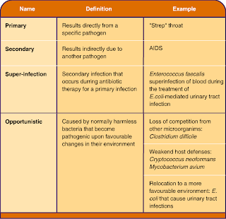 Basic Bacteriology: Categories of Infections
