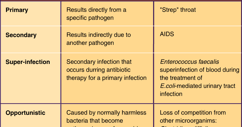 Basic Bacteriology: Categories of Infections