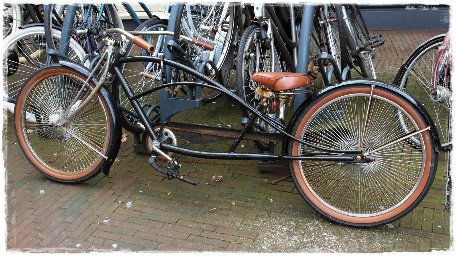 A Thousand Bikes: 0476 - Extreme Lowrider