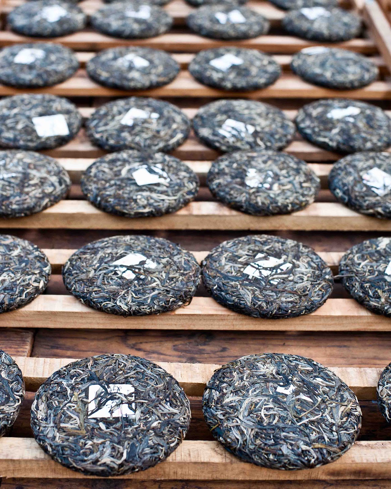 Life on Nanchang Lu: A Beginner's Guide to Pu'er Tea