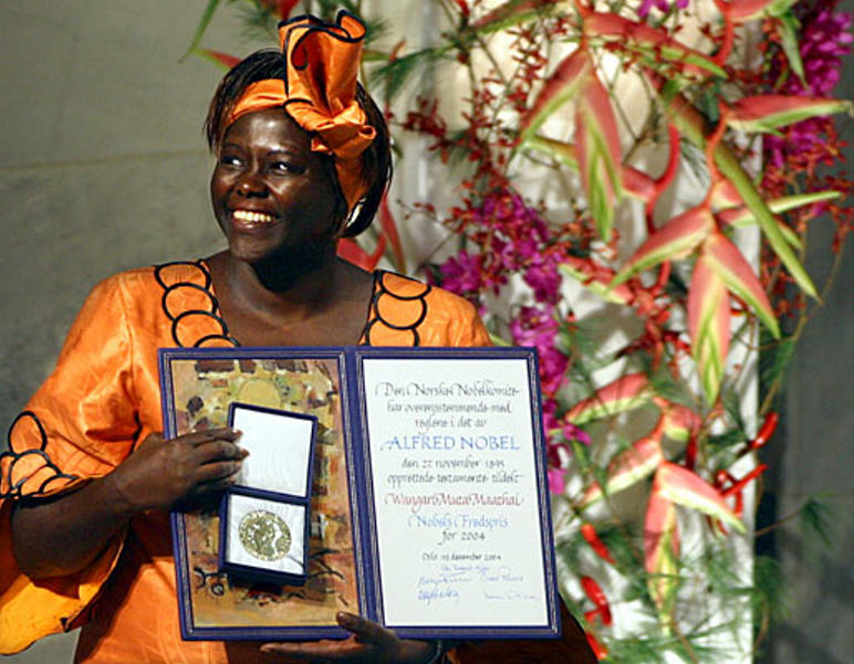 MY CRITICAL VIEWPOINT: REMEMBERING OUR HEROIC ICON, PROFESSOR WANGARI ...