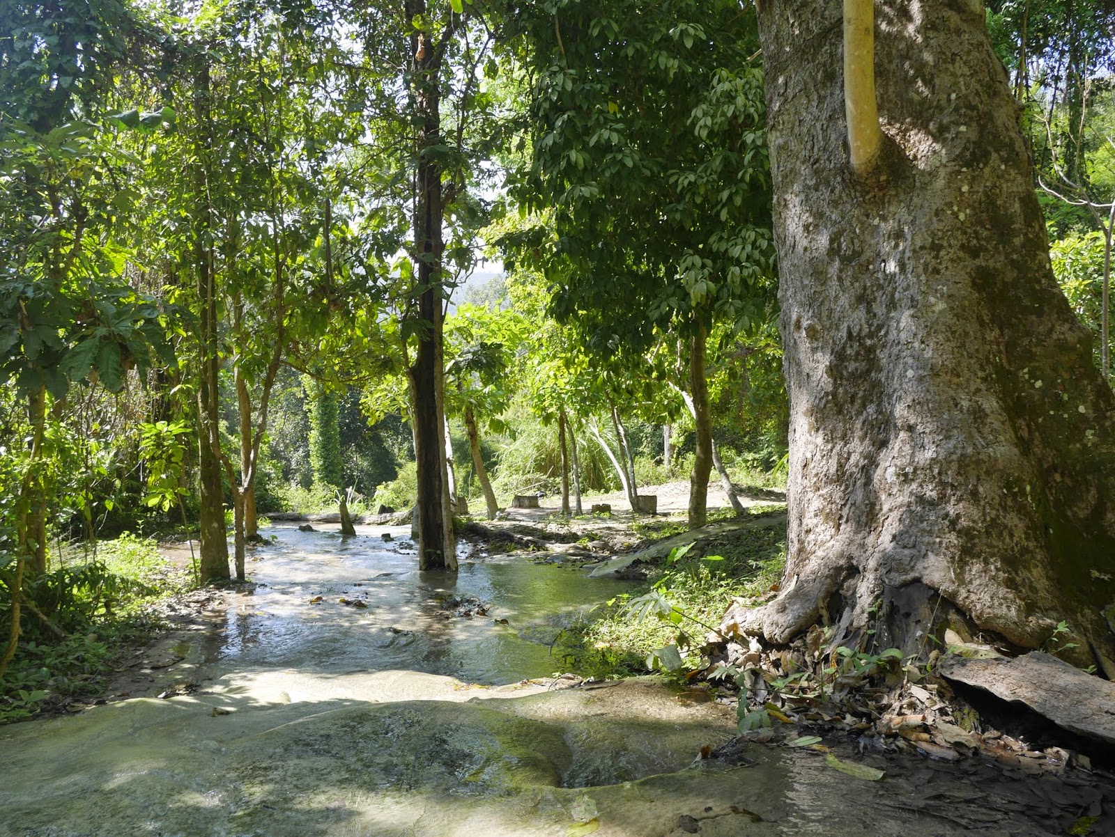 Bua Tong Sticky Waterfalls - Backwoods Mama