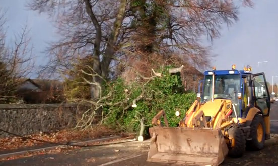 Tour Scotland: Tour Scotland Winter Photograph Video Fallen Tree ...