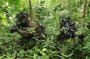 If Only Singaporeans Stopped to Think: SAF troops harder to spot with ...