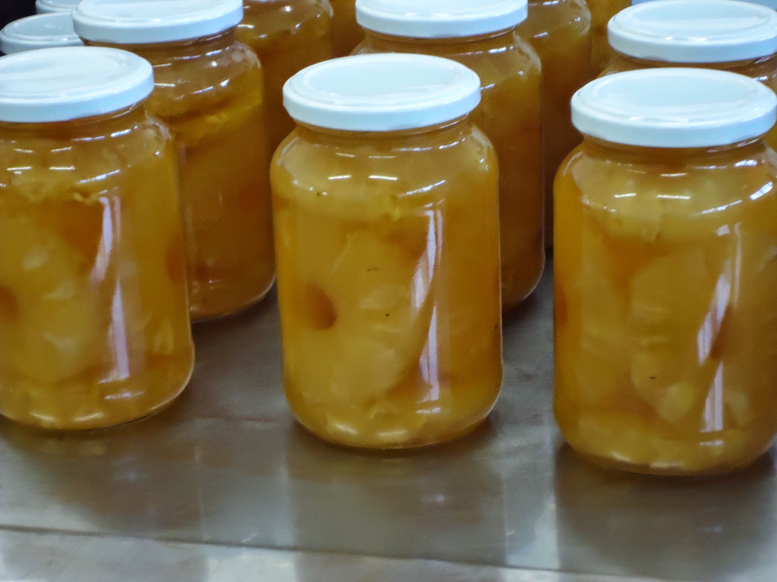 CENTRO DE CAPACITAÇÃO REGIONAL DE FEIRA DE SANTANA: COMPOTAS-MUTUIPE